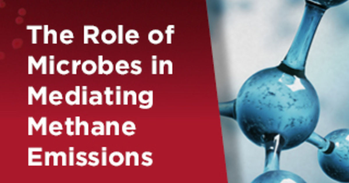 The Role of Microbes in Mediating Methane Emissions | Microbiome Center ...